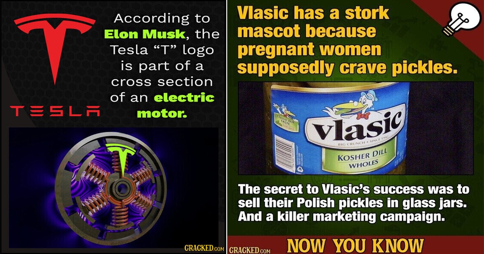 29 Random Trivia Tidbits Hiding in Plain Sight | Cracked.com