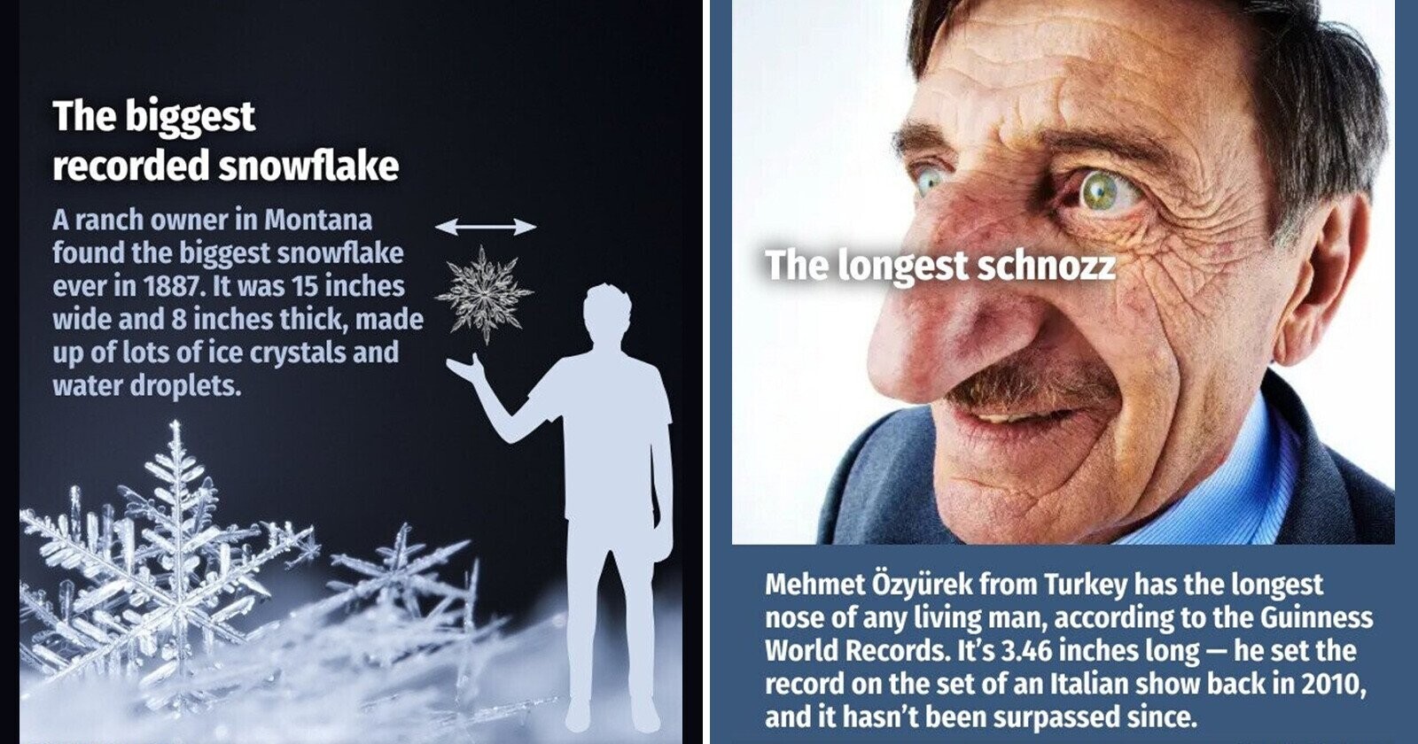 13 Absolutely Humongous Examples Of Normally Small Things | Cracked.com