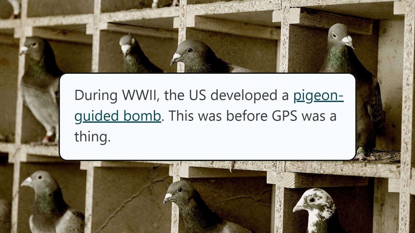 30 Weird Weapons from History | Cracked.com