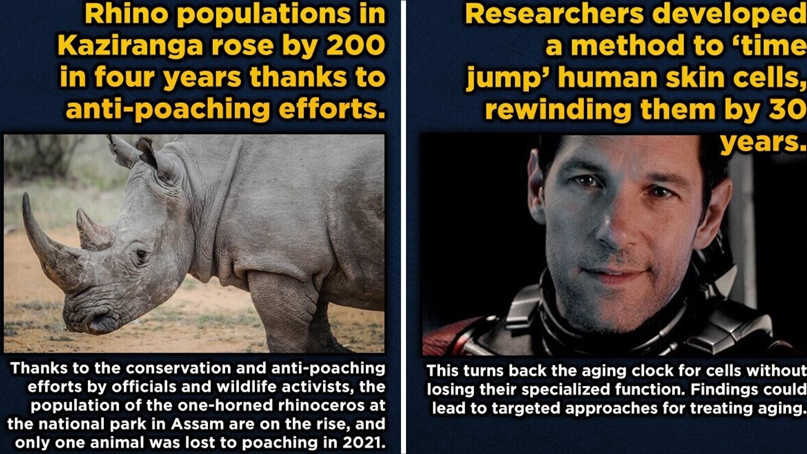 15 Heartwarming News Stories That Lifted Us Up | Cracked.com
