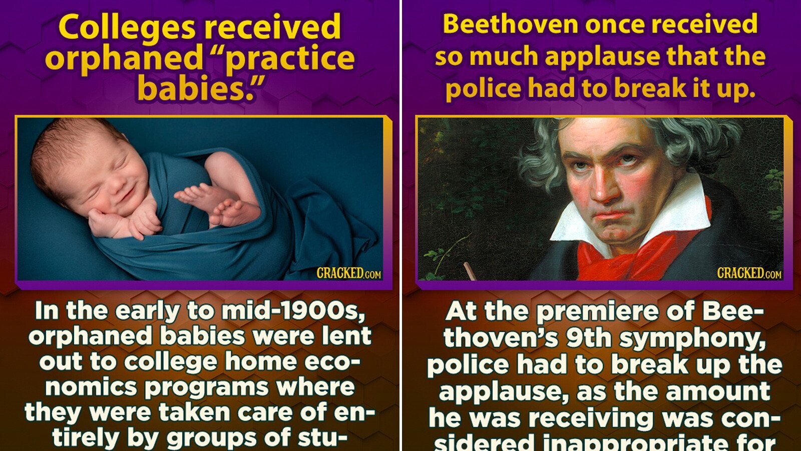 20 Strange Facts That Were Just What We Were Looking For | Cracked.com