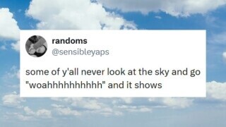 39 of the Most Hilarious Tweets from the Week of May 18, 2026 | Cracked.com