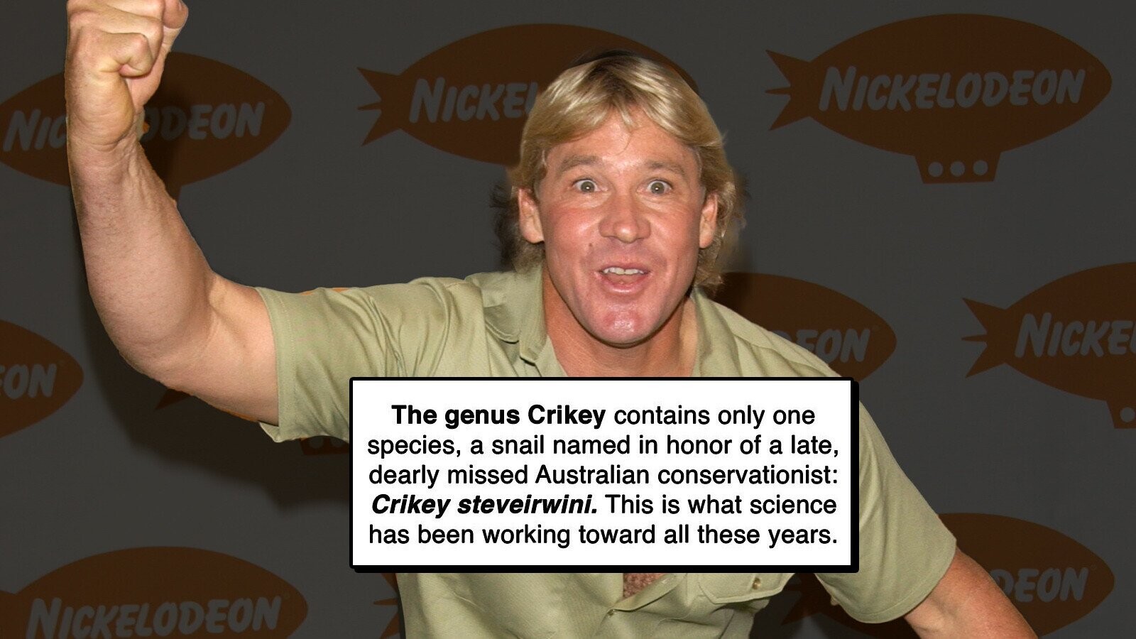 15 Creepy-Crawlies Named After Pop Culture Icons | Cracked.com