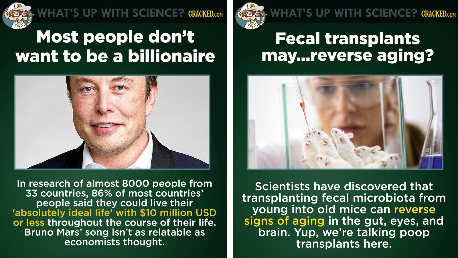 12 Surprising Research Findings We Just Learned | Cracked.com