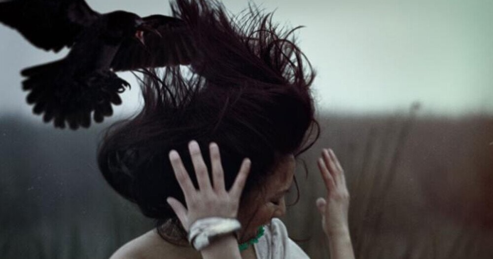 14 Animals That Are Secretly Evil Geniuses | Cracked.com