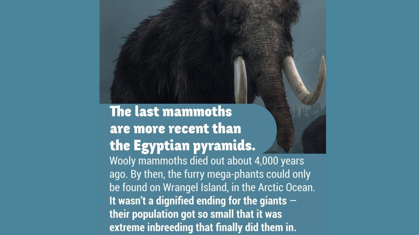 15 Random Facts to Presume That You Know Things | Cracked.com