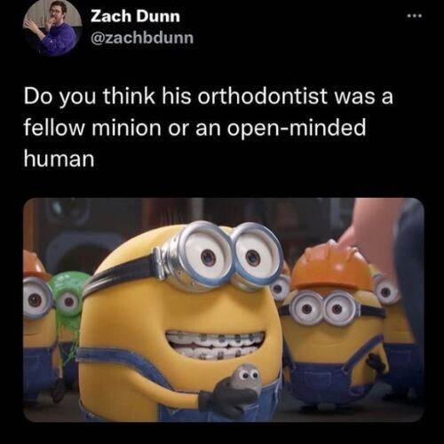 27 Diabolical ‘Minions’ Memes to celebrate their monstrous return ...
