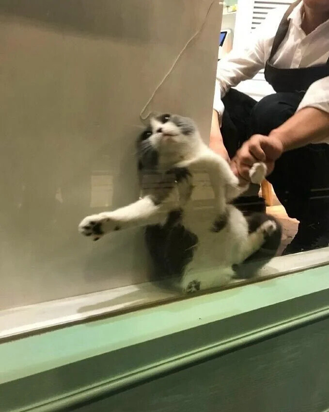 20 Photos Where What's Happening Doesn't Make Sense | Cracked.com