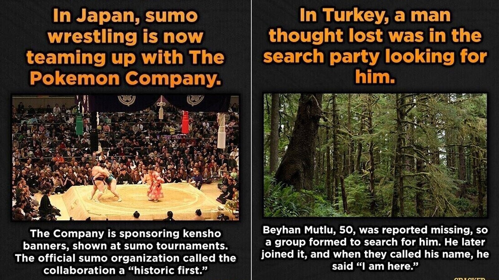 34 Bizarre Headlines and Happenings That Surely Were Meant to Occur in ...