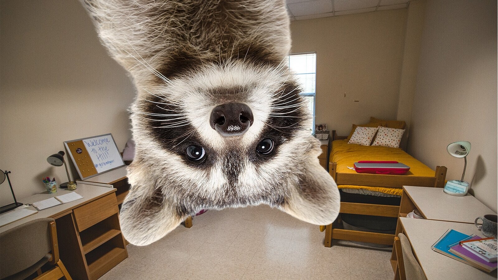 21 Jaw-Dropping Things Seen in a College Dorm | Cracked.com