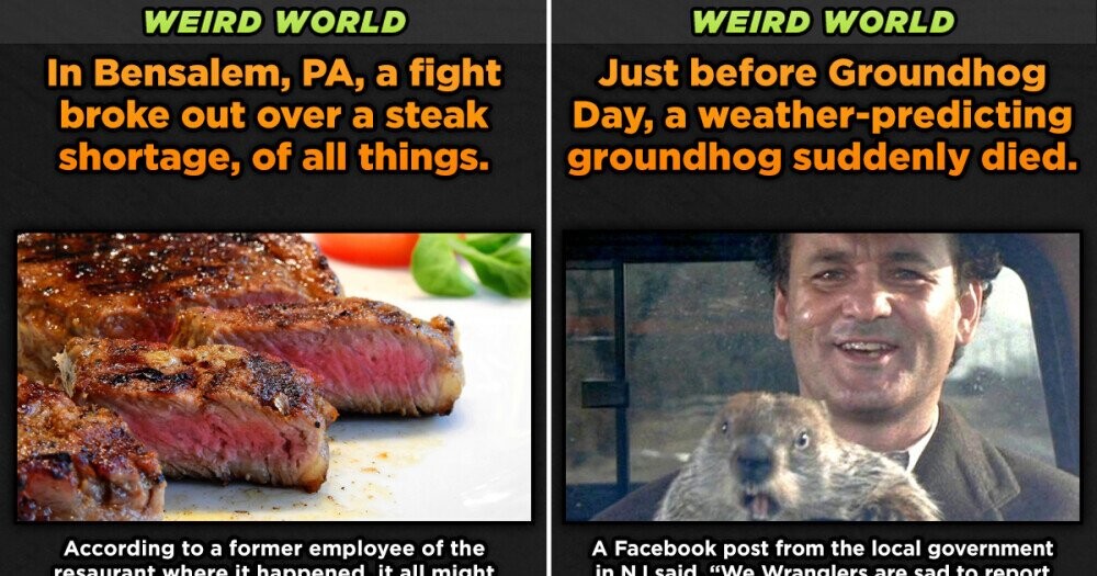Weird World: 12 Unbelievable Events That, Somehow, Are Real | Cracked.com