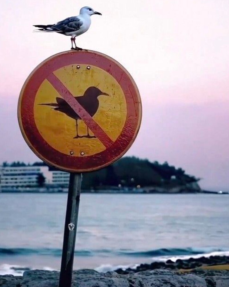 18 Traffic Signs That Make Little to No Sense | Cracked.com