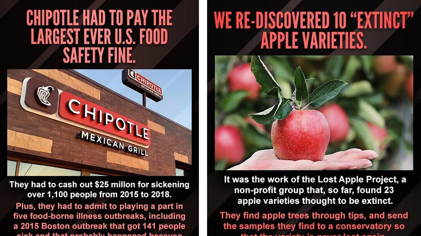 30 Unbelievable News Stories That’ll Make You Do That Squeaky Eye-Rub ...