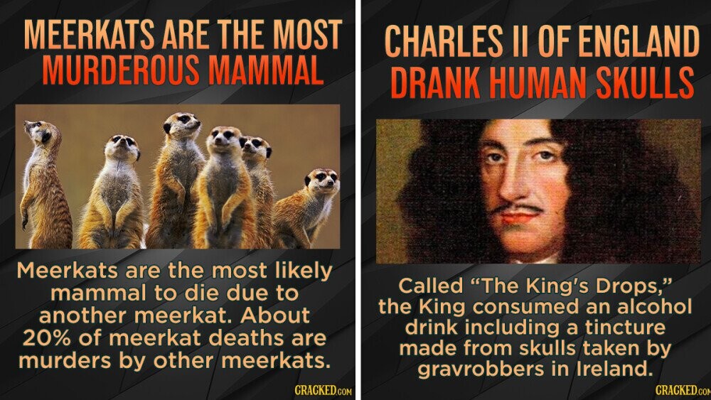 13 Spooky Facts That Keep Us Up At Night | Cracked.com