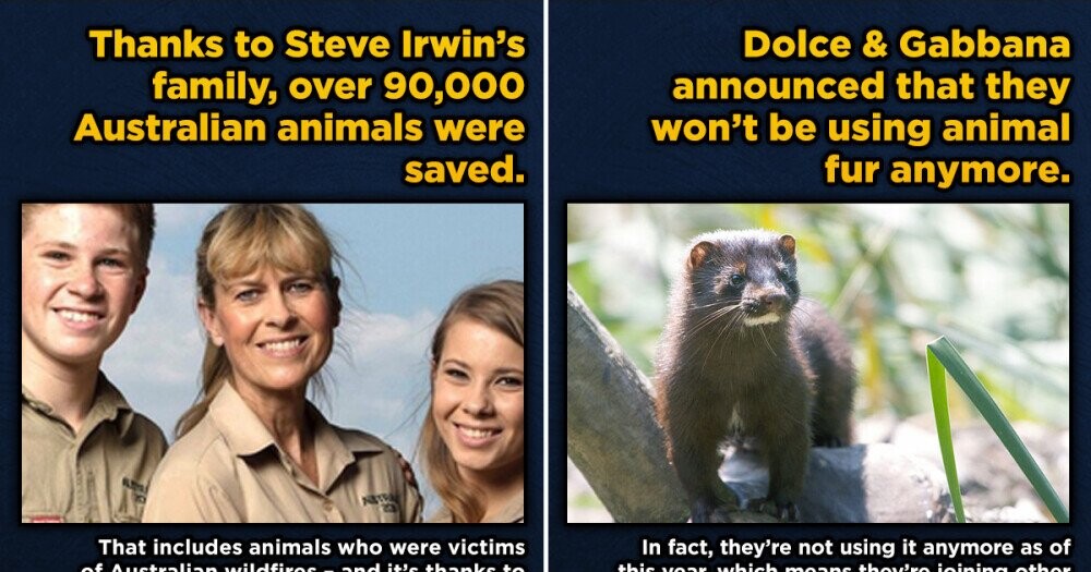 13 Pieces Of Good News To Remind Us Things Aren't All That Bad ...