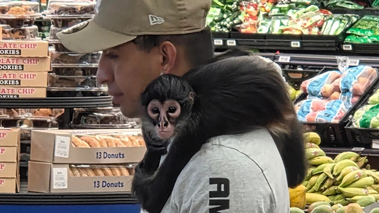 Photos of Walmart People Earning Their Reputation | Cracked.com