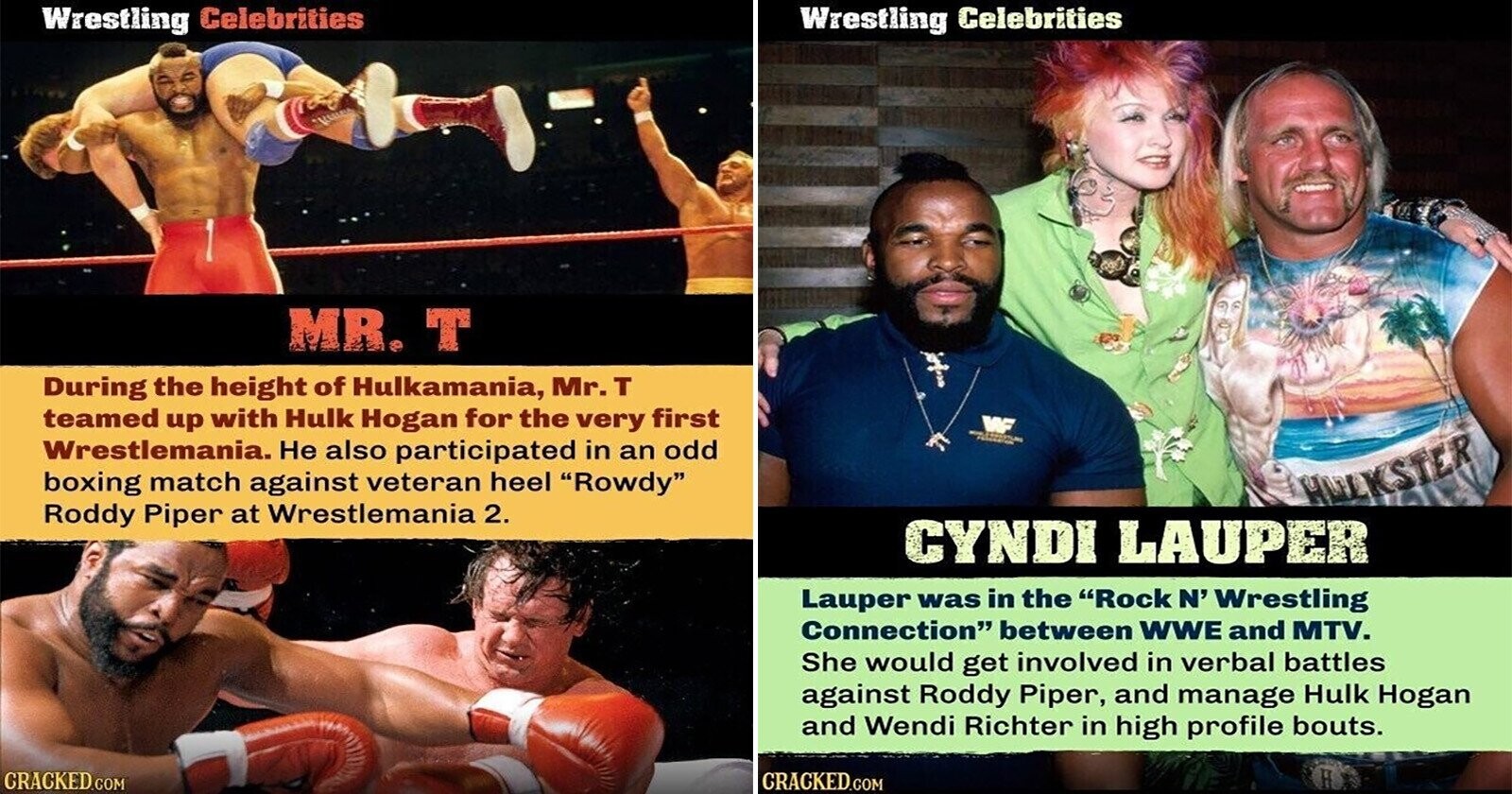 36 Random Facts About Professional Wrestling to Suplex Into Your ...