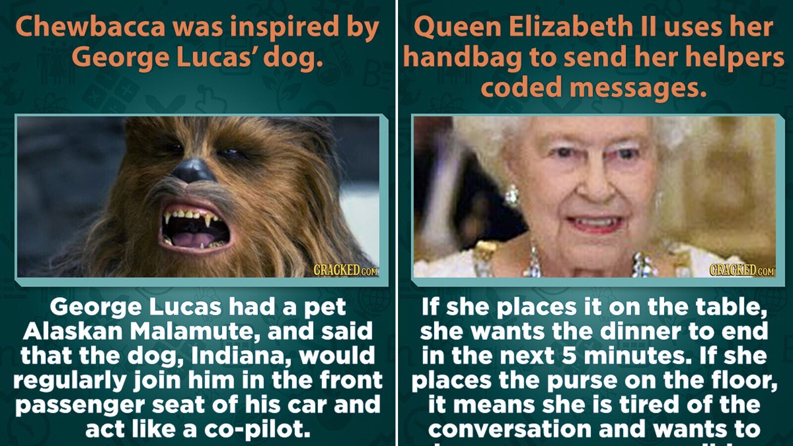 15 Fascinating Facts That Improved Our Overall Mood | Cracked.com