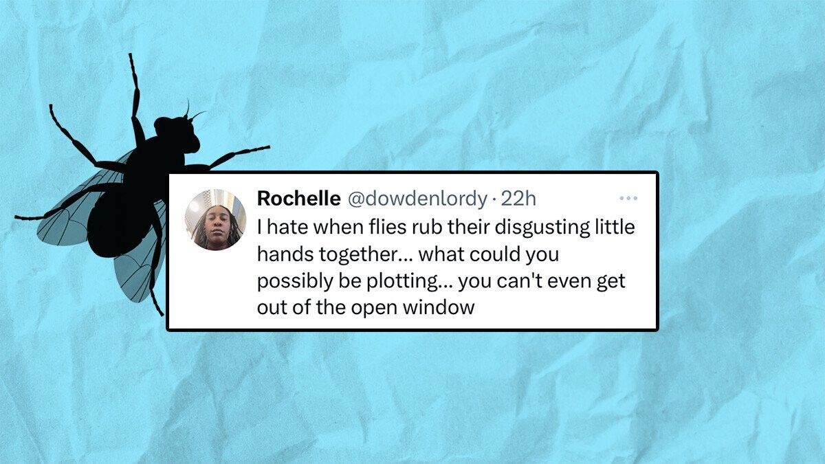 63 of the Funniest Tweets from the Week of August 19, 2024 | Cracked.com