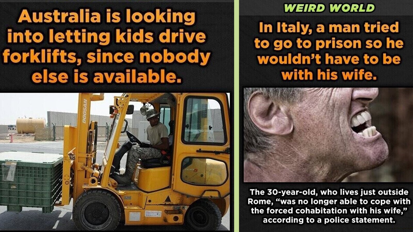 25 Random News Items That Prove God Has Got to Be Asleep at the Wheel ...