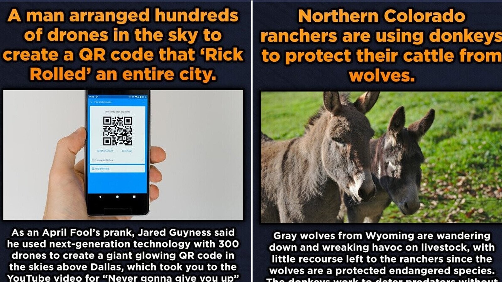 15 Of The Strangest Stories Making Headlines Today | Cracked.com