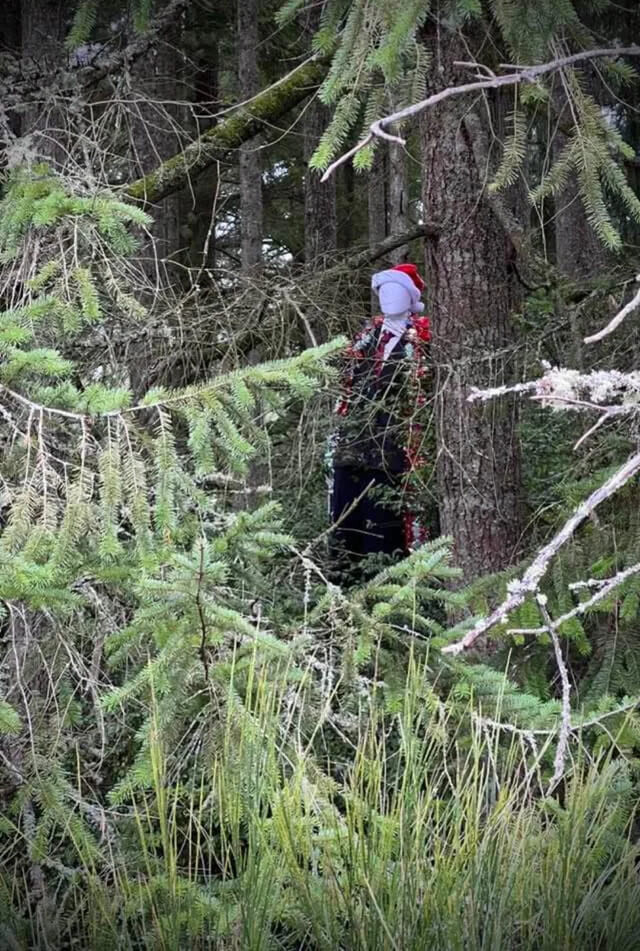 Cool & Interesting Christmas Things People Found | Cracked.com