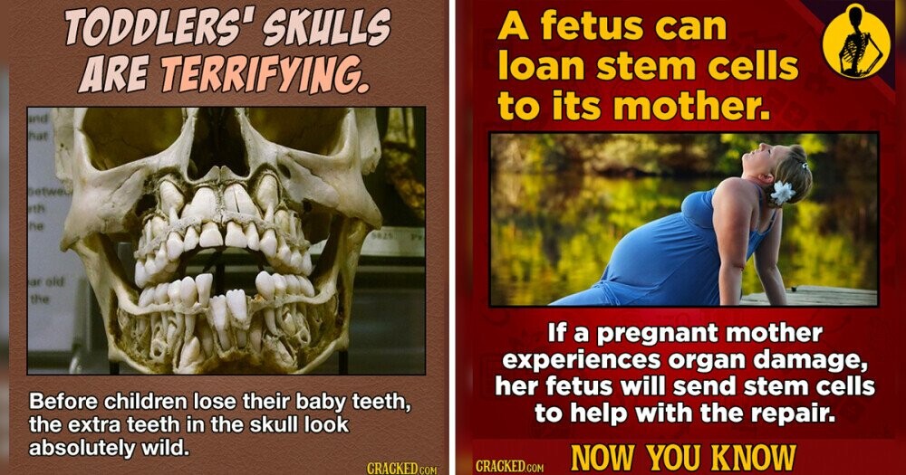 35 Disgusting Facts About Our Disgusting Human Bodies | Cracked.com