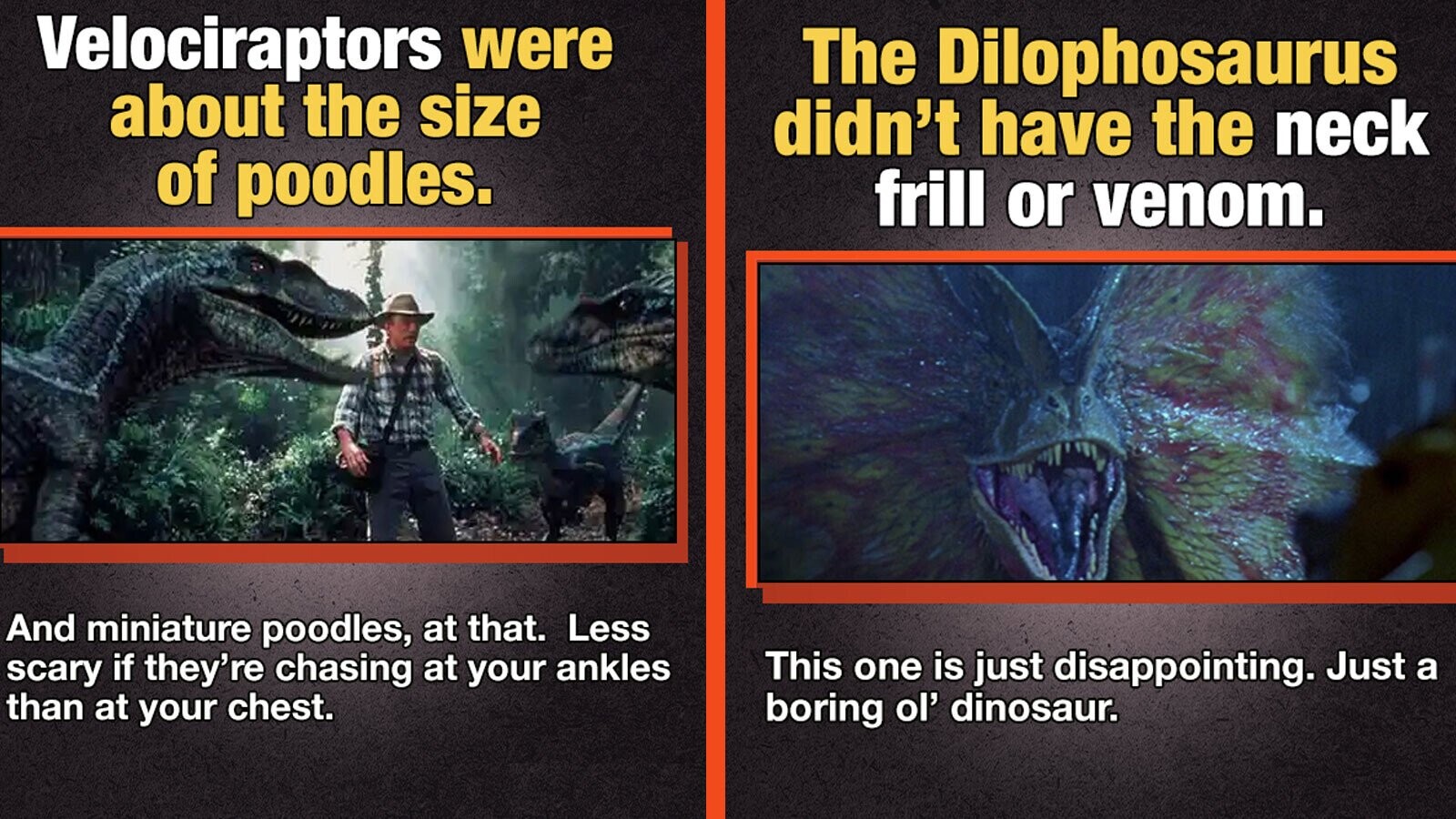 14 Dinosaur Facts 'Jurassic Park' Got Wrong | Cracked.com