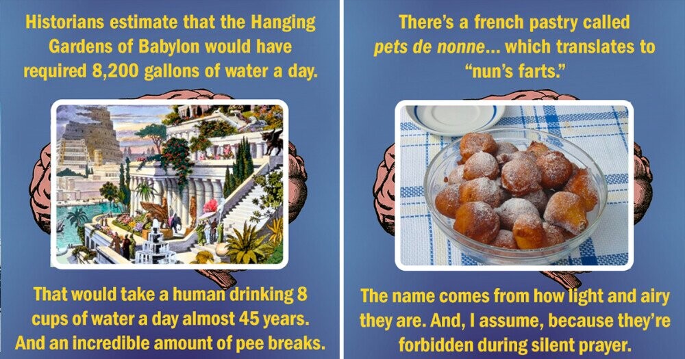 12 Weird Facts To Embiggen Your Brain | Cracked.com