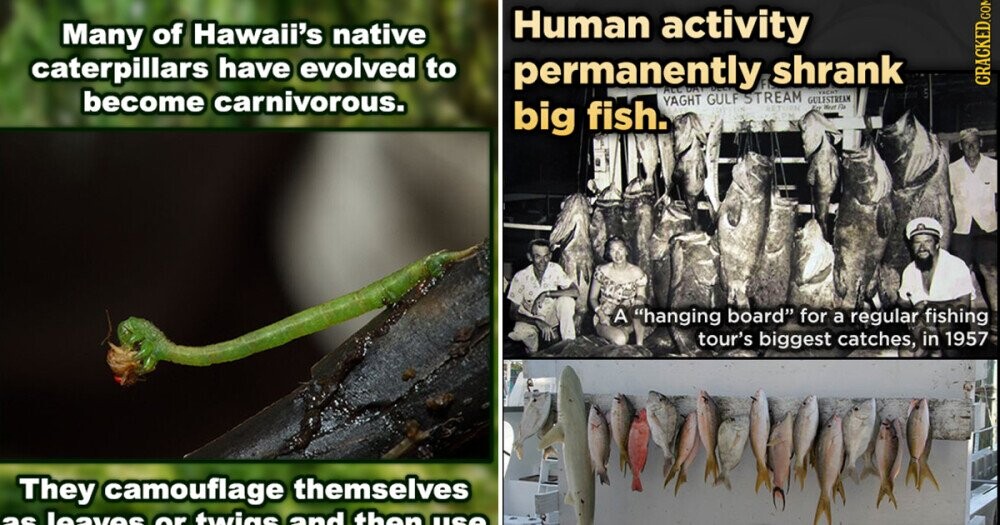 31 Fascinating Tidbits About Planet Earth | Cracked.com