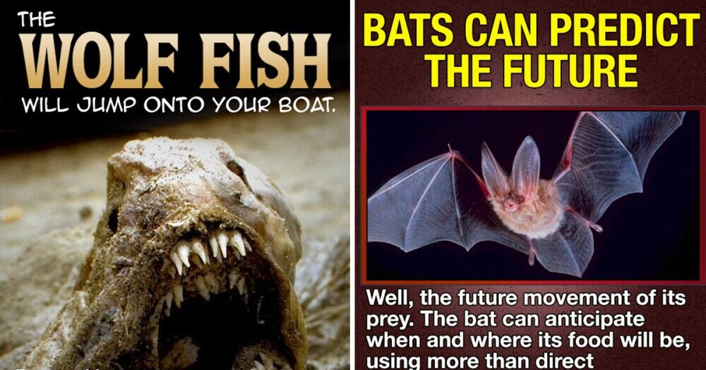 32 Terrifying Animals That Could Star in Their Own Horror Movies ...