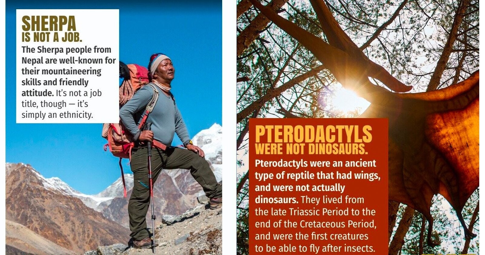 14 Familiar Things That We’ve Been Classifying All Wrong | Cracked.com