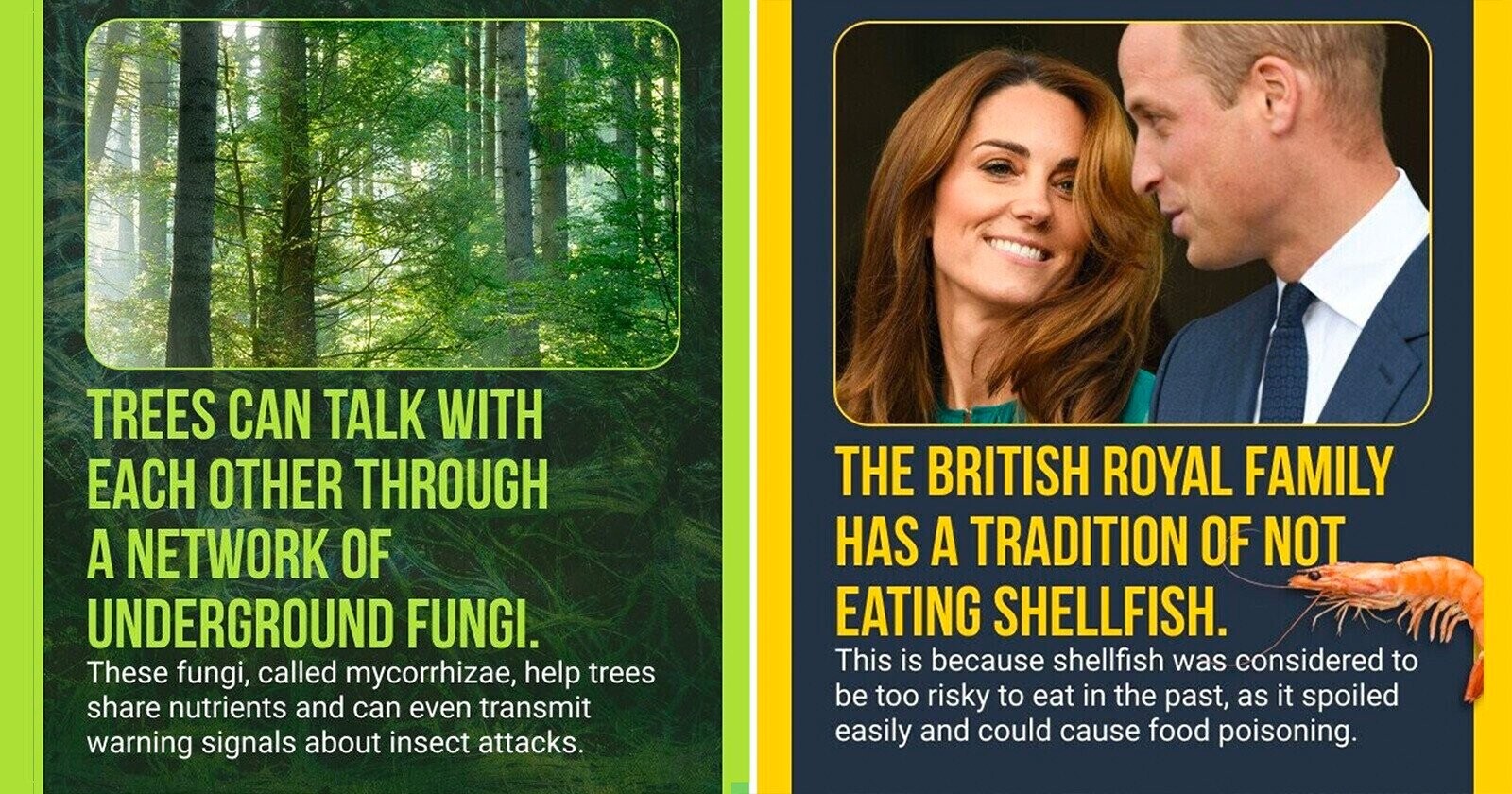 14 Bits of Trivia We Took to the Bank (to the Obvious Exasperation of ...