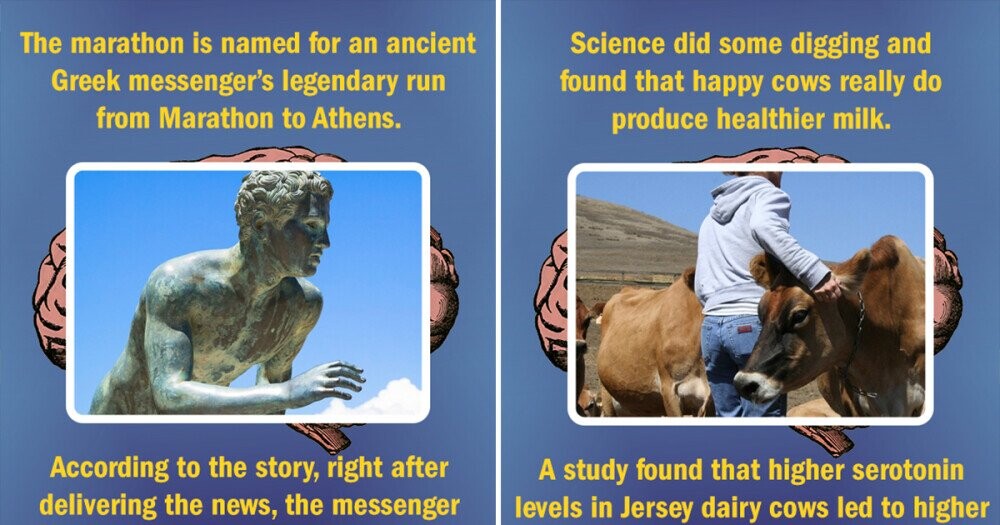 12 Informative Pictures for Interested Parties | Cracked.com