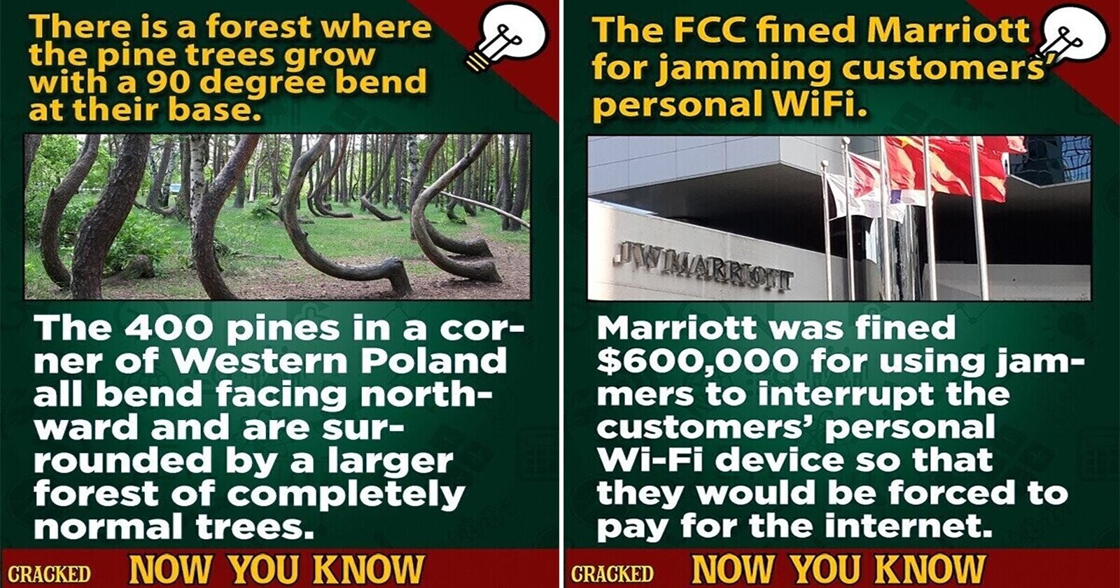 39 Random Bits of Trivia That’ll Yank on Your Brainstem Like a Pull ...