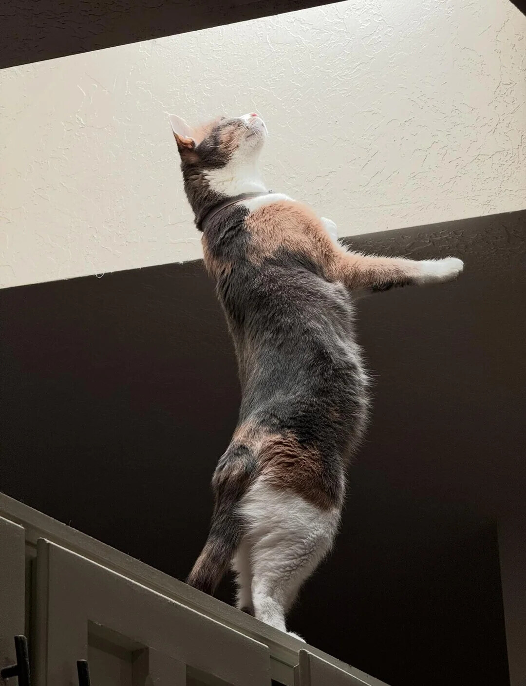 Photos That Get Stranger the Closer You Look | Cracked.com