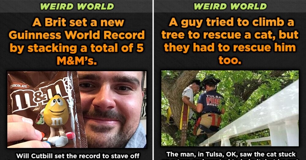 Weird World: 12 Baffling, Ridiculous Events We Didn’t Hear About ...