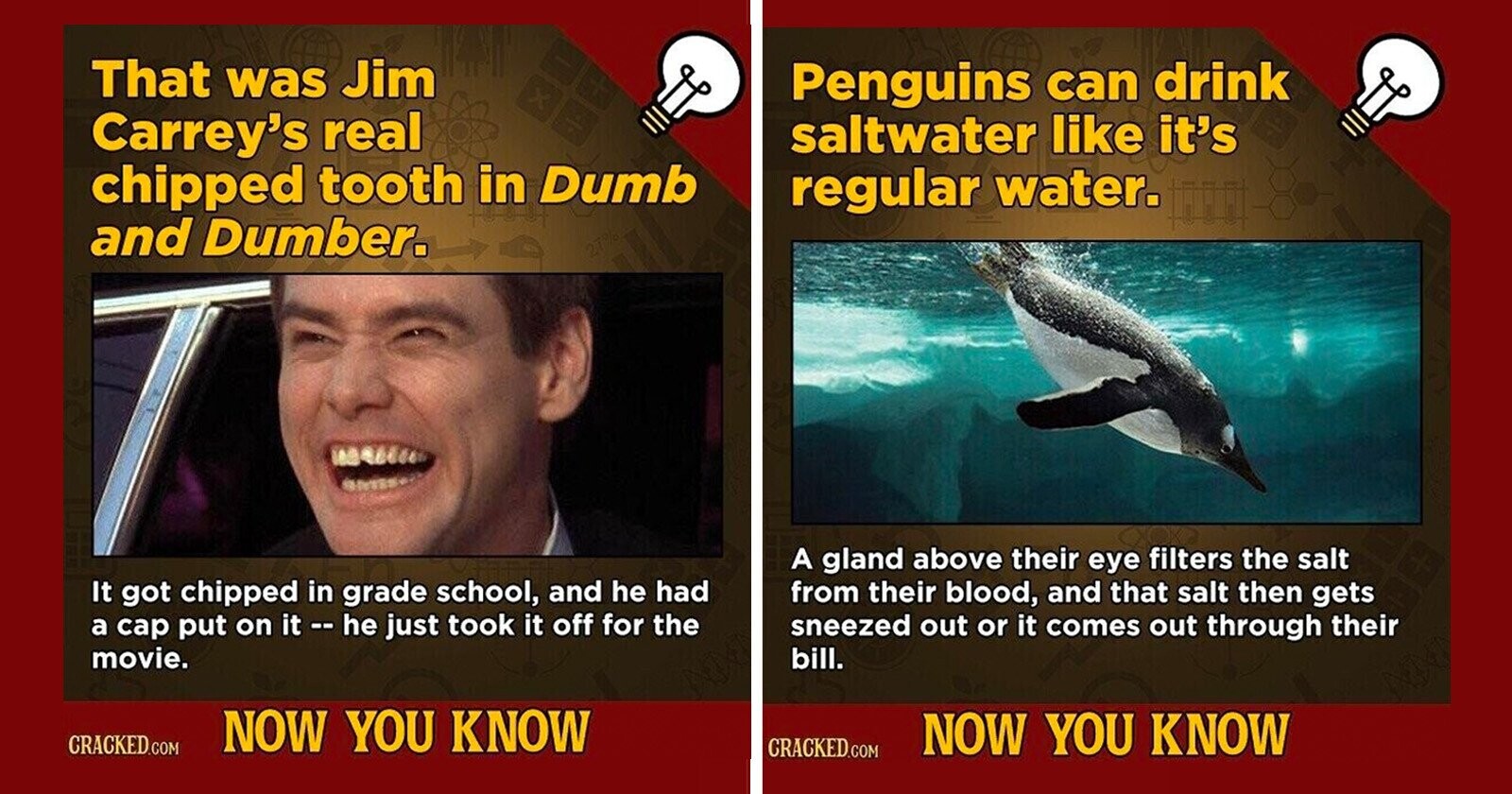 28 Factoids That Will Win You At Least One Bet | Cracked.com