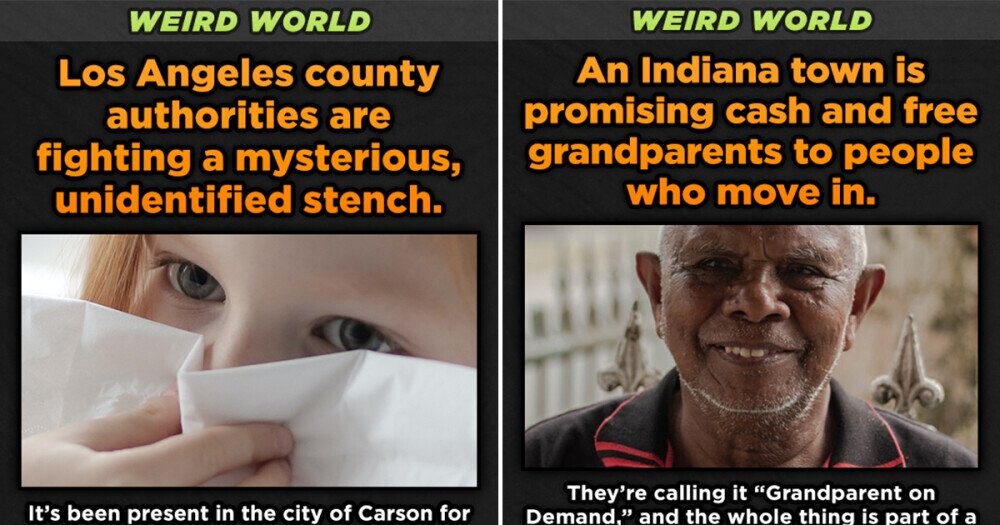 Weird World: 12 Real Events We’d Never Expect To Happen | Cracked.com