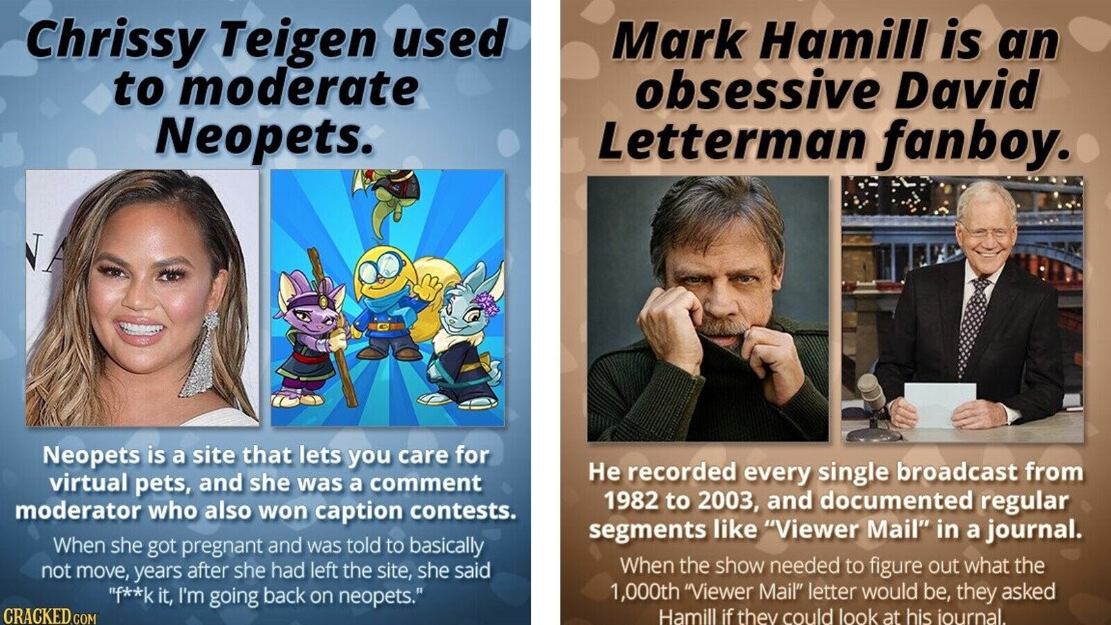 35 Famous People’s Hobbies That Show Celebrities Are Just Like Us, Only ...