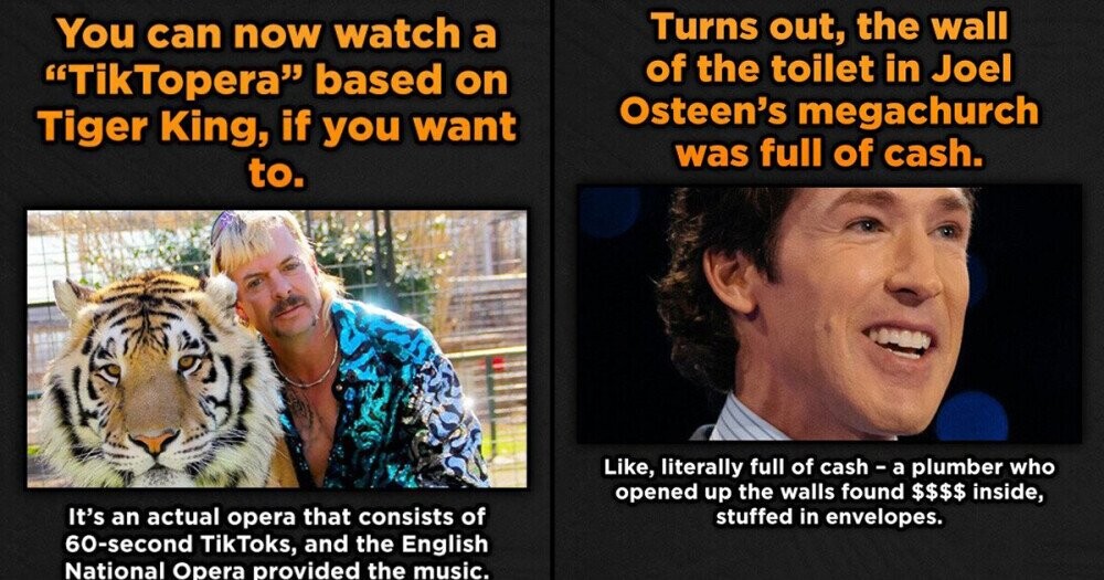 31 Bizarre News Stories That Went Under the Radar | Cracked.com