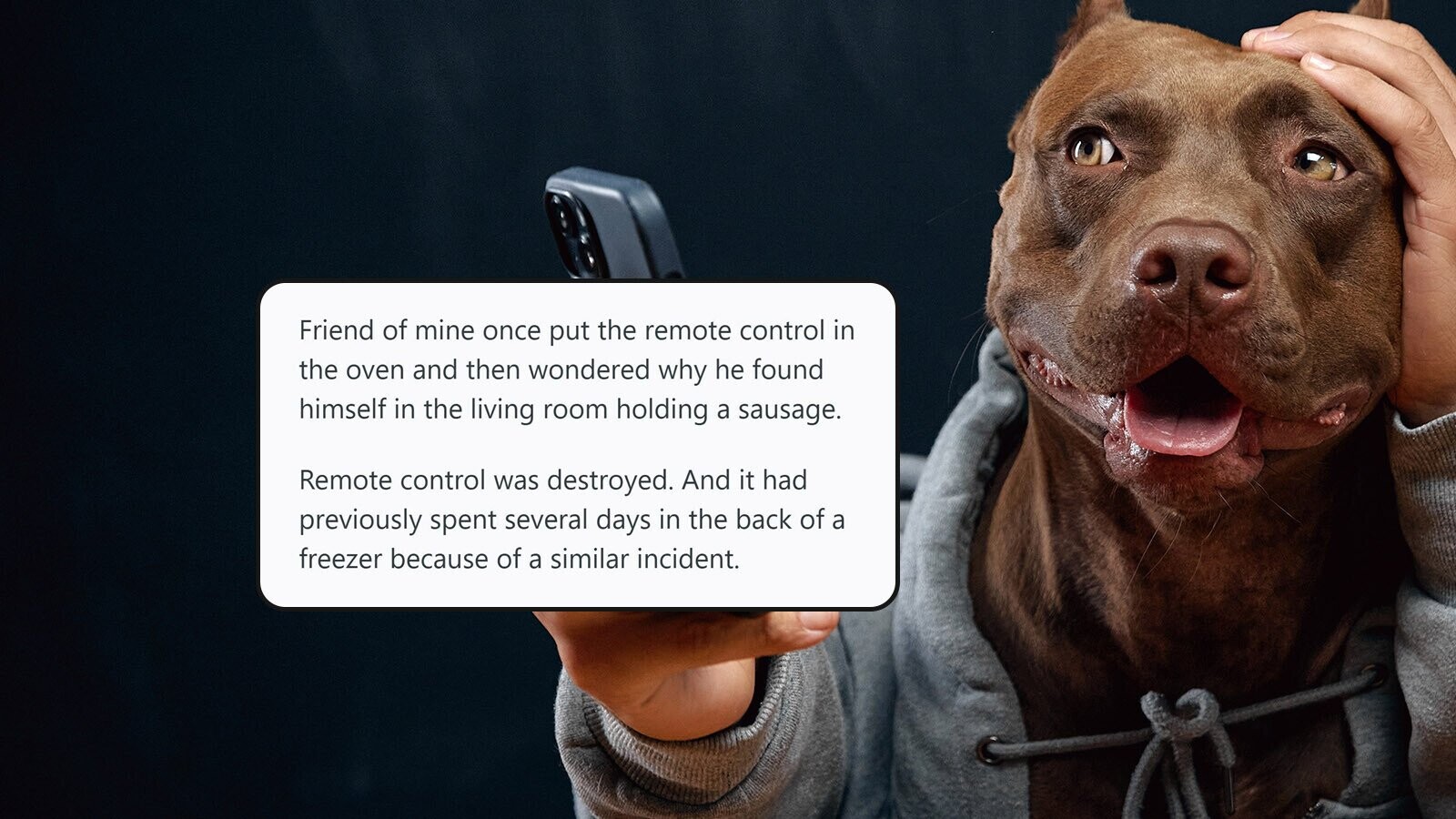 33 Wildly Hilarious Times People’s Wires Got Crossed | Cracked.com