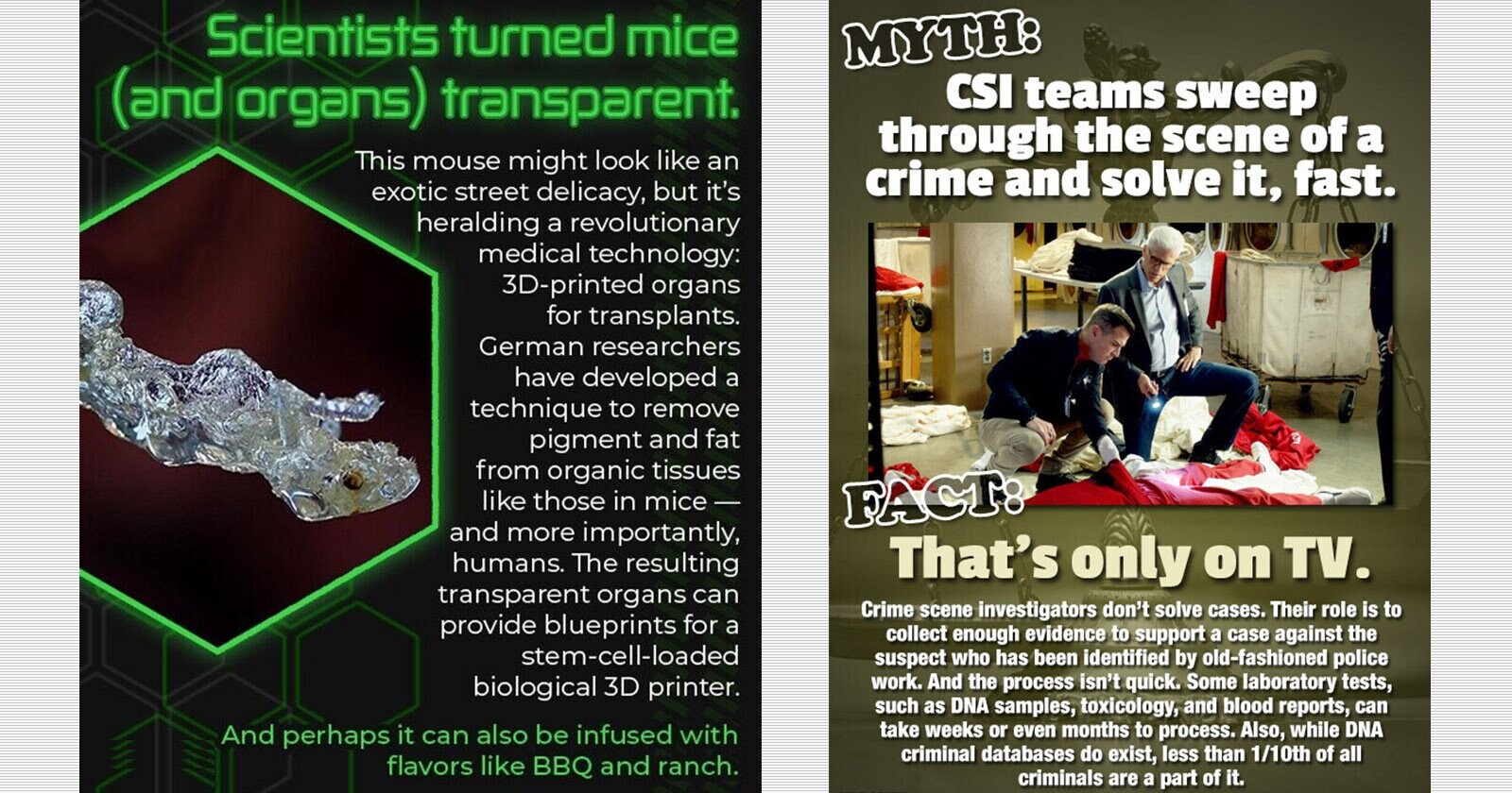 40 Random Bits of Trivia Your Science Teachers Have Been Gatekeeping ...
