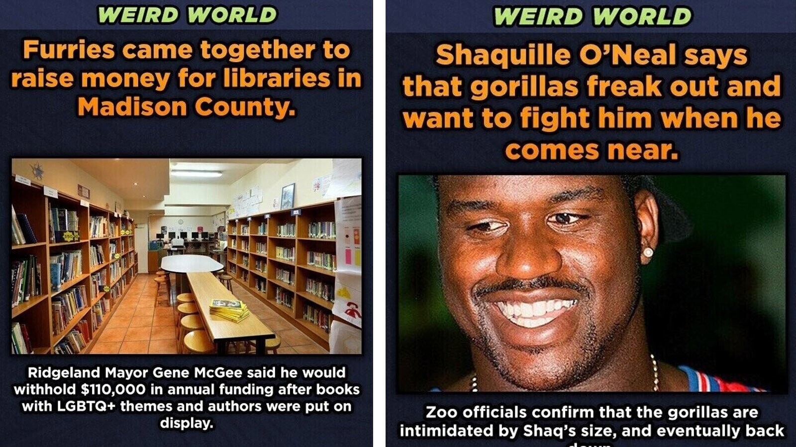 26 of The Most Peculiar News Stories From Around The World | Cracked.com