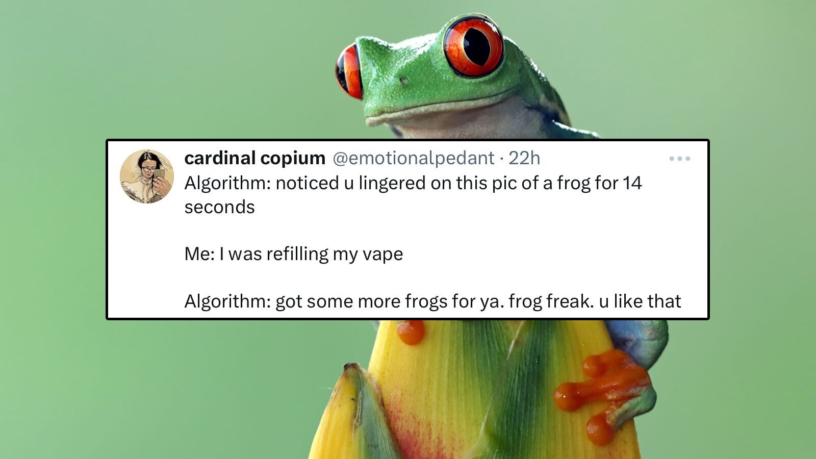 33 of the Funniest Tweets from Wednesday, September 18, 2024 | Cracked.com