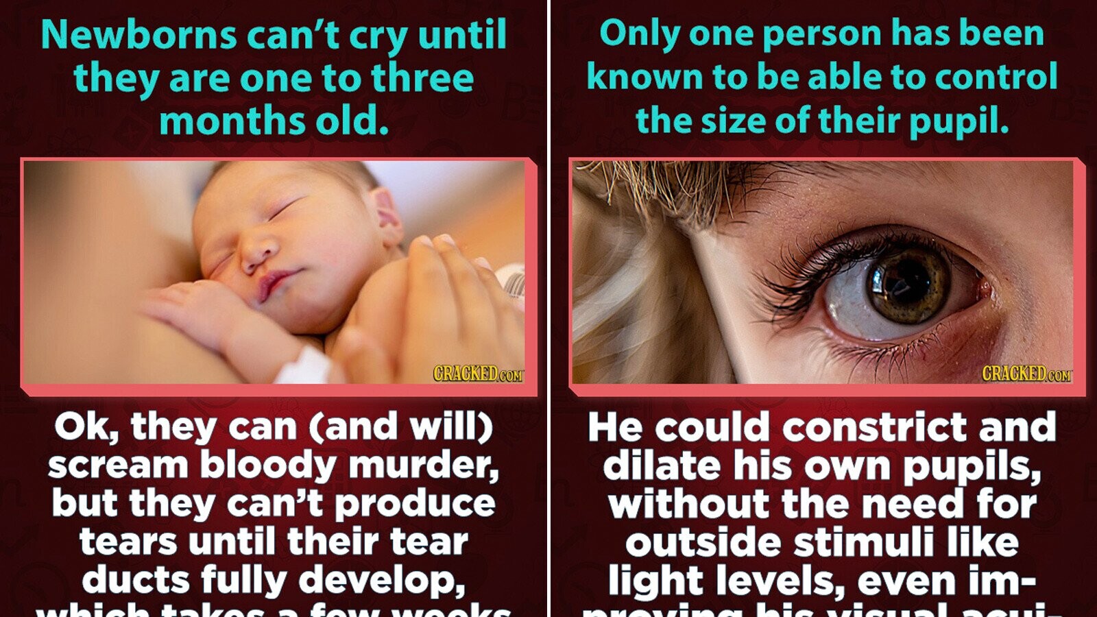 20 Trivia Tidbits That Stuck With Us | Cracked.com