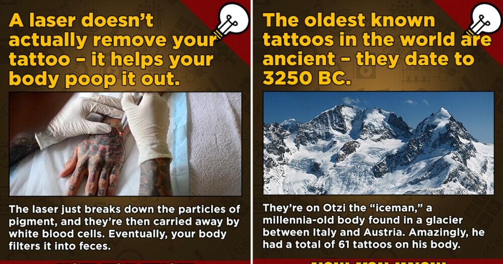 13 Scientifically True, Surprising Facts About The Ink On Your Skin ...