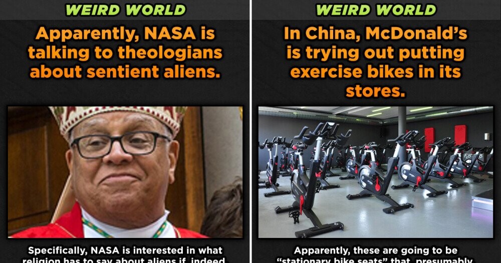 Weird World: 12 Odd Events We'd Never Have Expected | Cracked.com