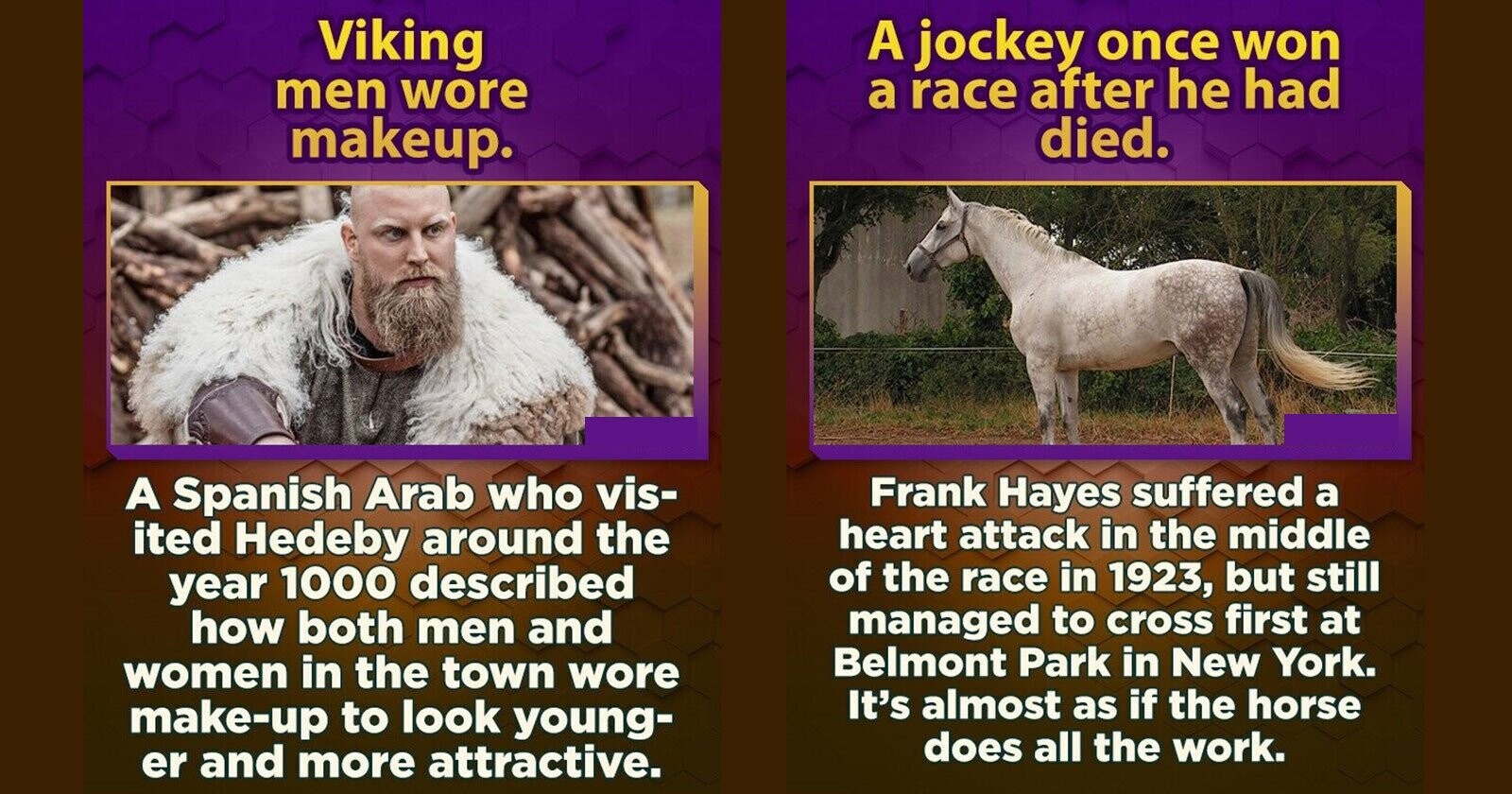 40 Random Bits of Trivia You Can Ingest Orally — Or the Hard Way ...