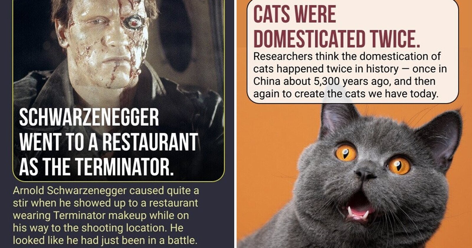 13 Bits Of Trivia We Recovered From Mysterious Floating Islands That ...